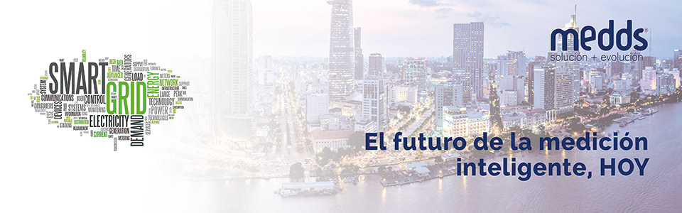 RED INALÁMBRICA GRIDSTREAM® RF